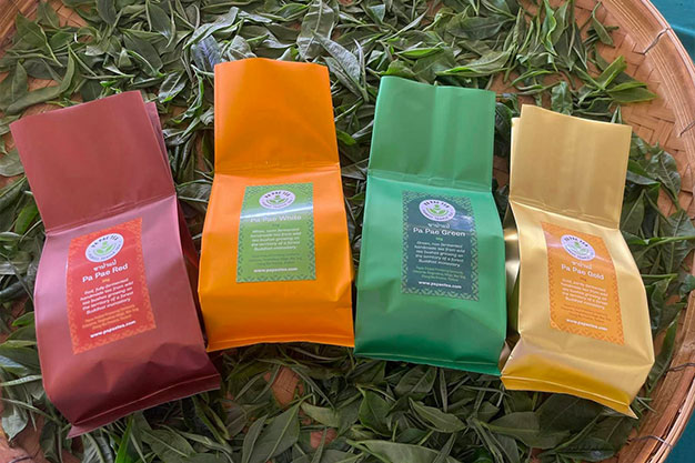 Pa Pae Tea - Hand Crafted Tea - Wild Forest Tea